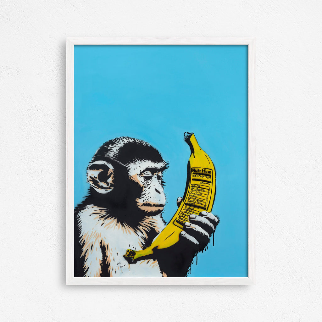 Macro Monkey - Ultra Edition – Quantus